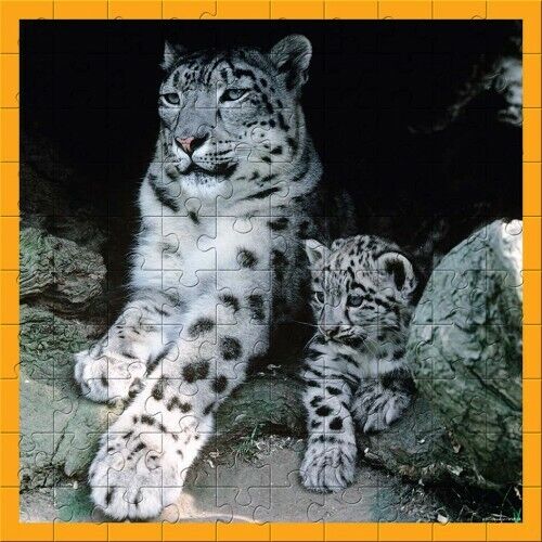 Buy WWF - Snow Leopard Puzzle 100pc