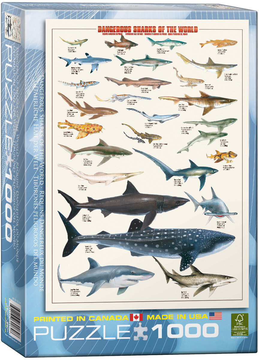 Buy Eurographics - Dangerous Sharks Puzzle 1000pce