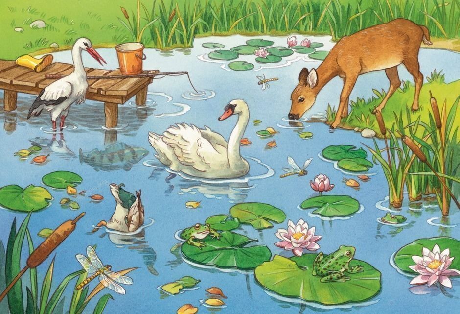 Buy Ravensburger - Above and Below the Pond Puzzle 2x24p